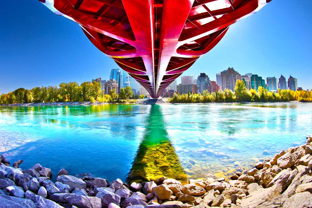 4 Attractions That Will Make Calgary Alberta Your Next Destination ...
